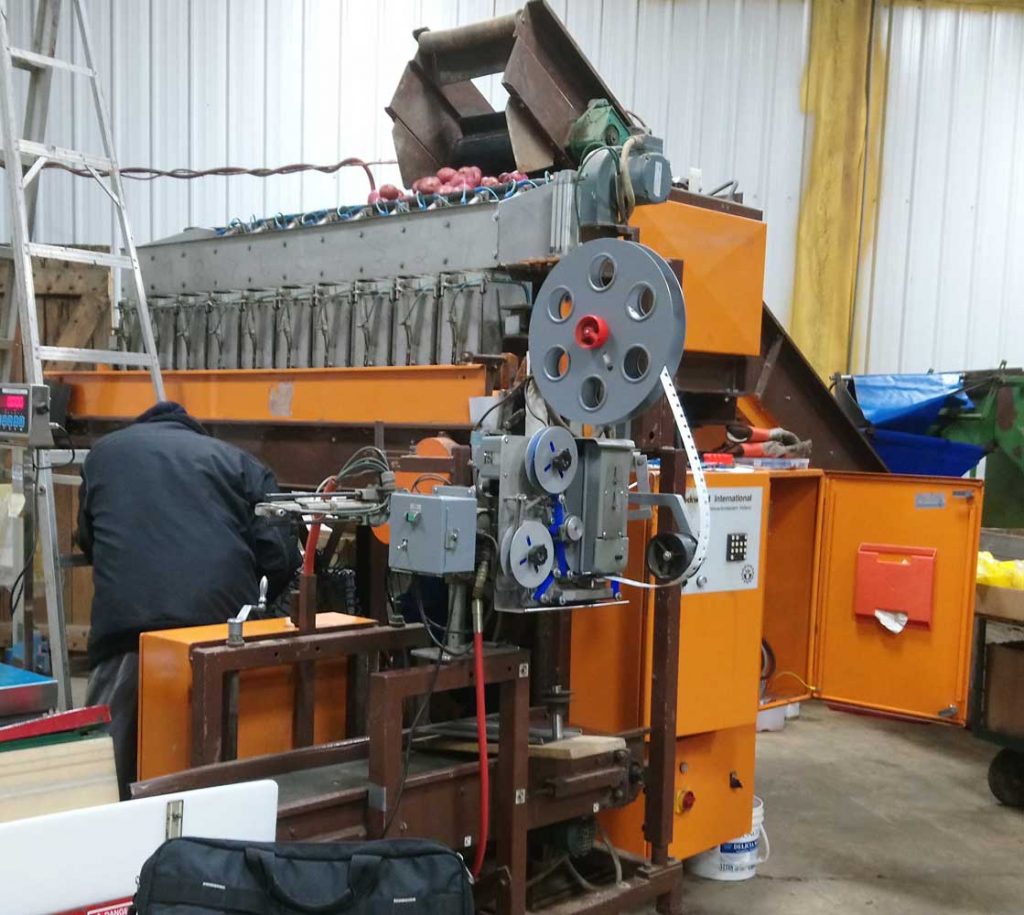 Potato Sorting & Bagging Machine | Sigma Electronics Services ...